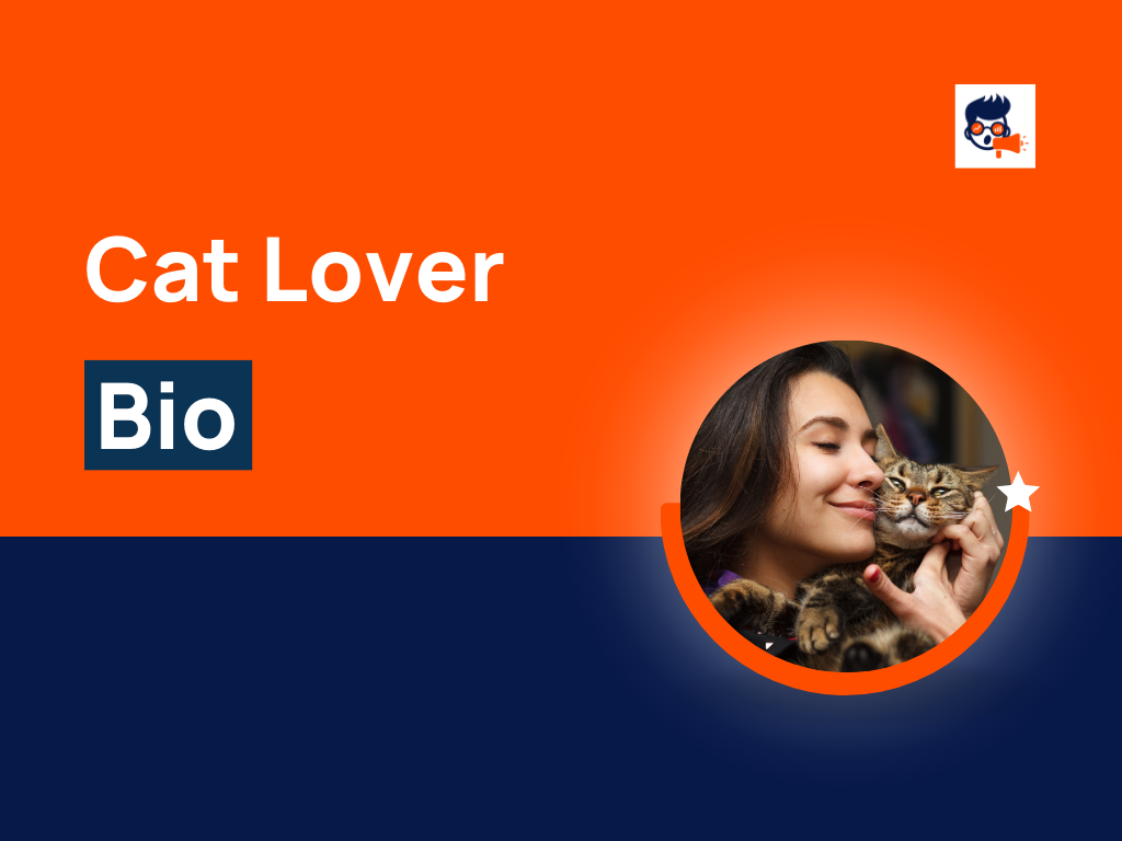 164+ Best Cat Lover Bio For Social Media (Examples) - theBrandBoy.Com